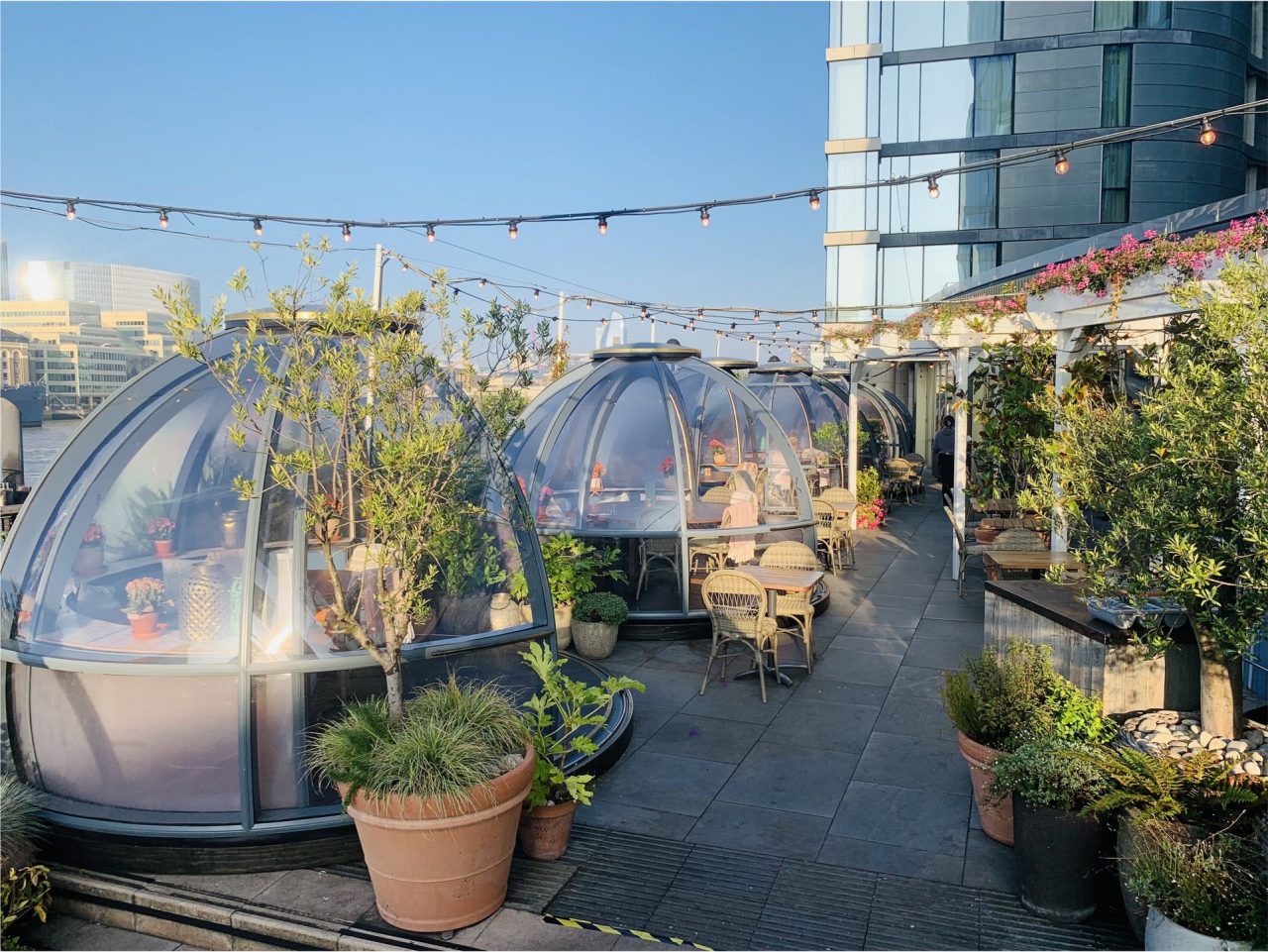 Coppa Club Reimagined: The Igloo Revolution - Highcraft